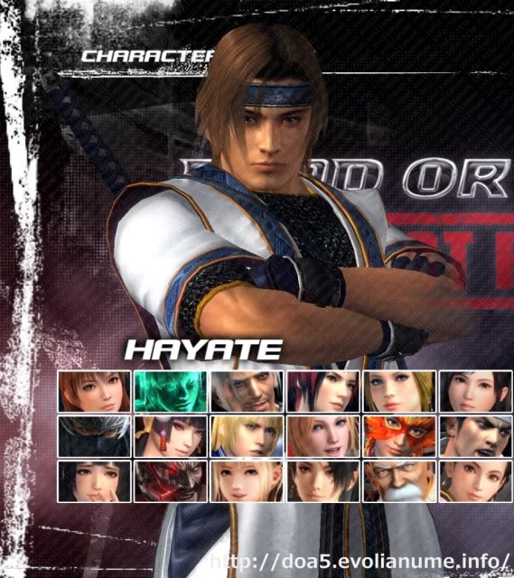 ハヤテ | DOA5 衣装部屋