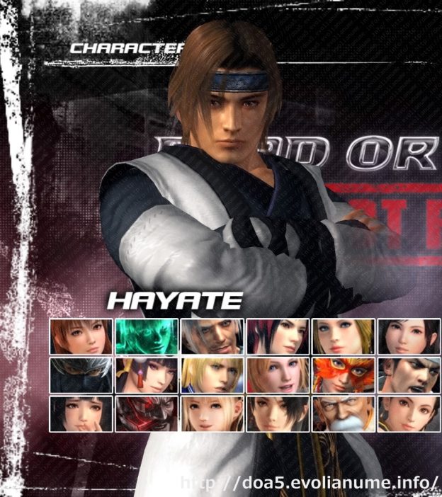 ハヤテ | DOA5 衣装部屋