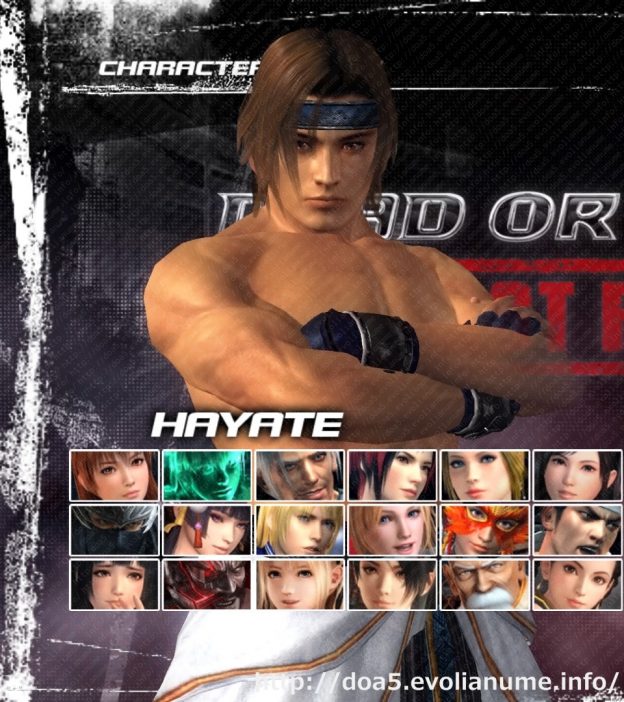 ハヤテ | DOA5 衣装部屋