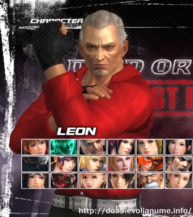レオン | DOA5 衣装部屋