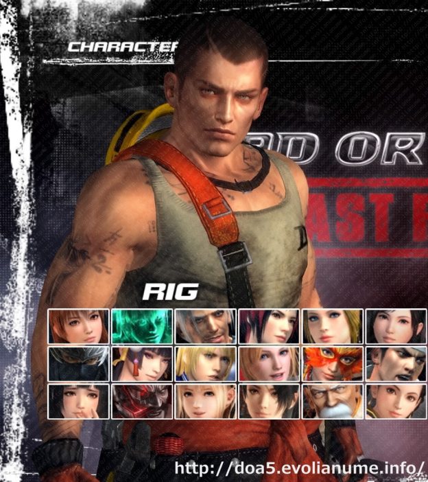 リグ | DOA5 衣装部屋
