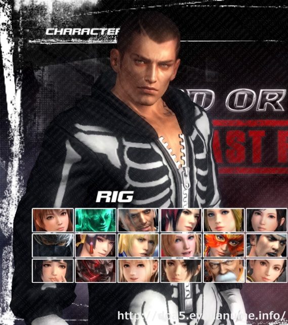 リグ | DOA5 衣装部屋